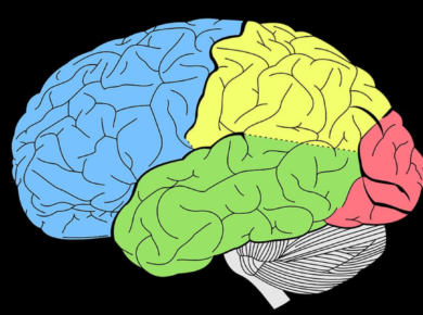 Episode 19 – The ADHD Brain Void